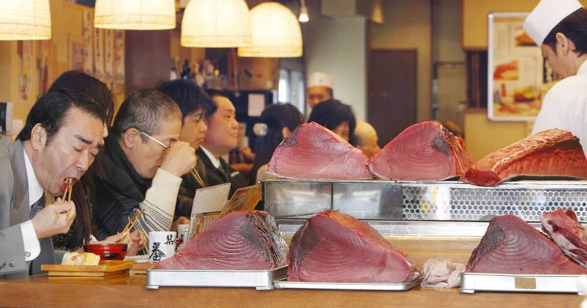 Künstliche Befruchtung soll das Sushi retten